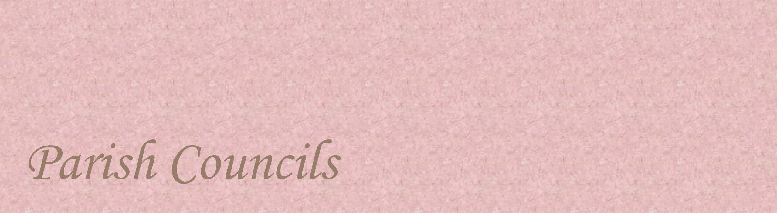 Parish Councils – Espiritu Santo Church